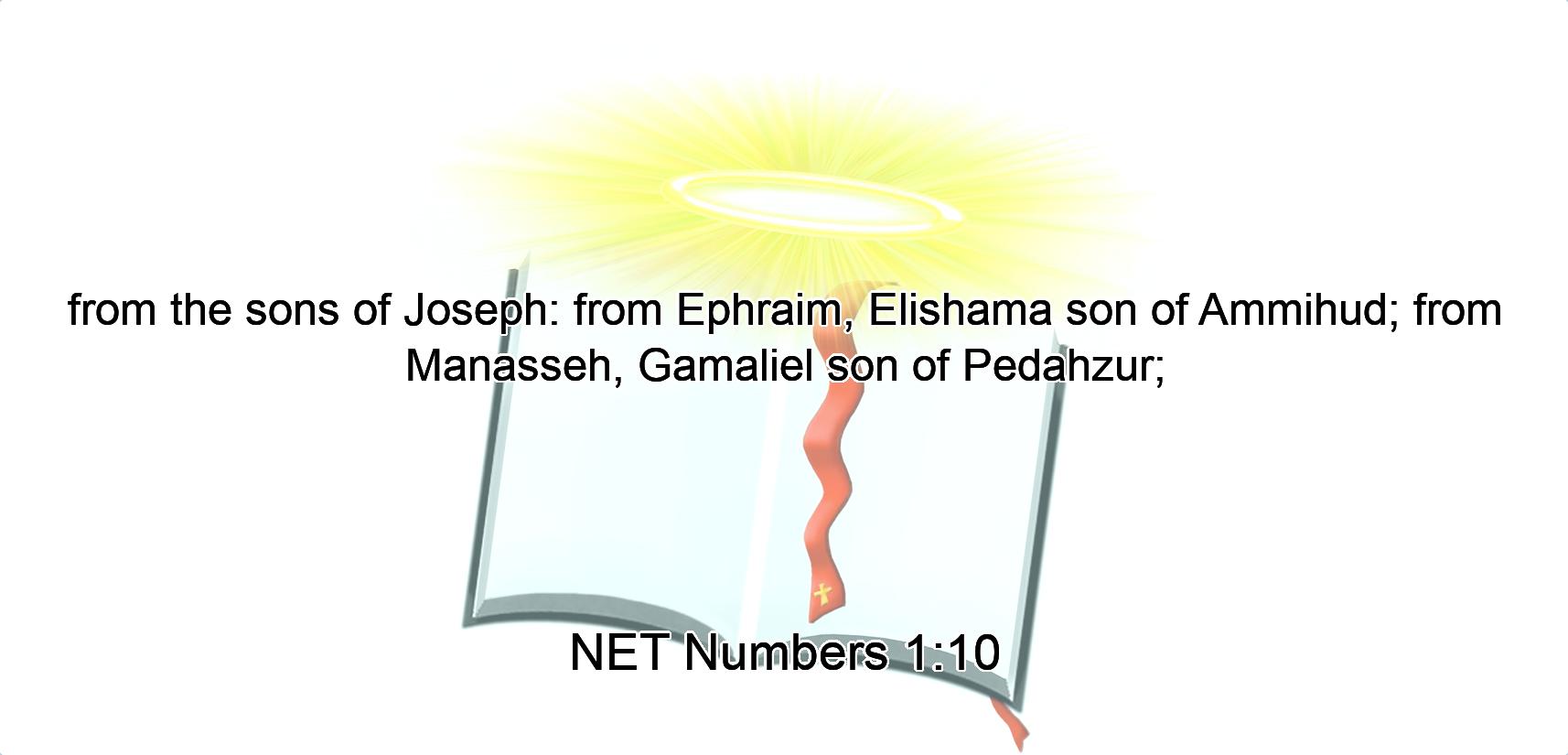 Touch Numbers 1 10