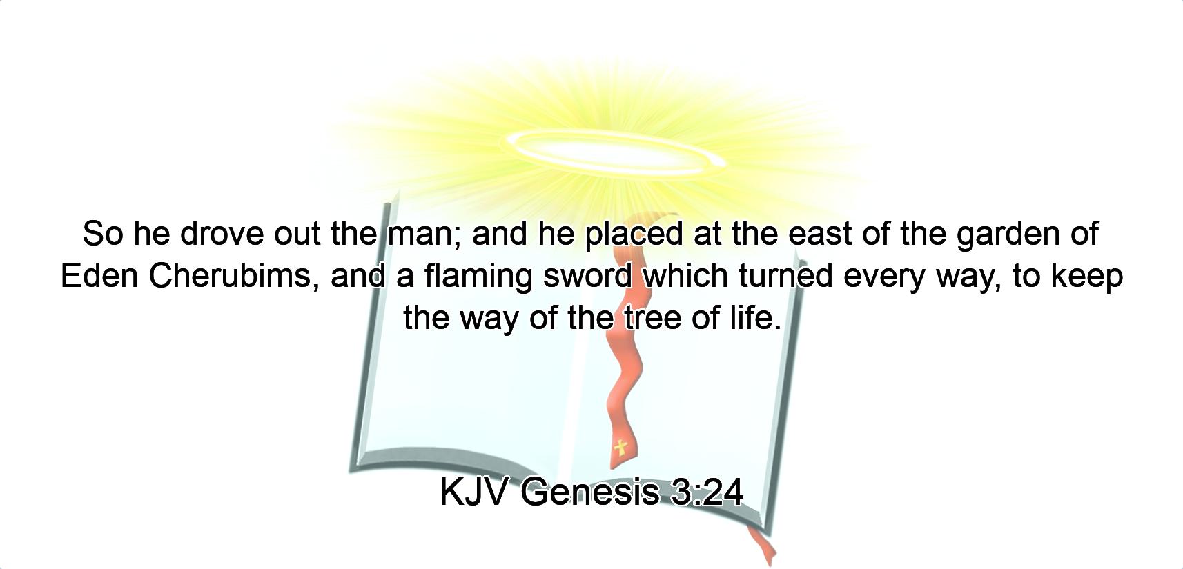 Bible Verse Image Browser