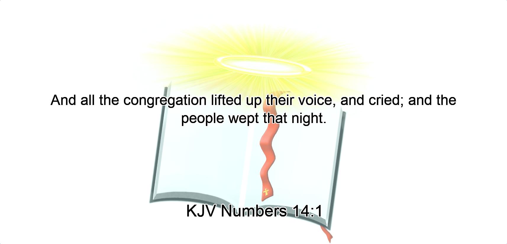 Bible Verse Image Browser