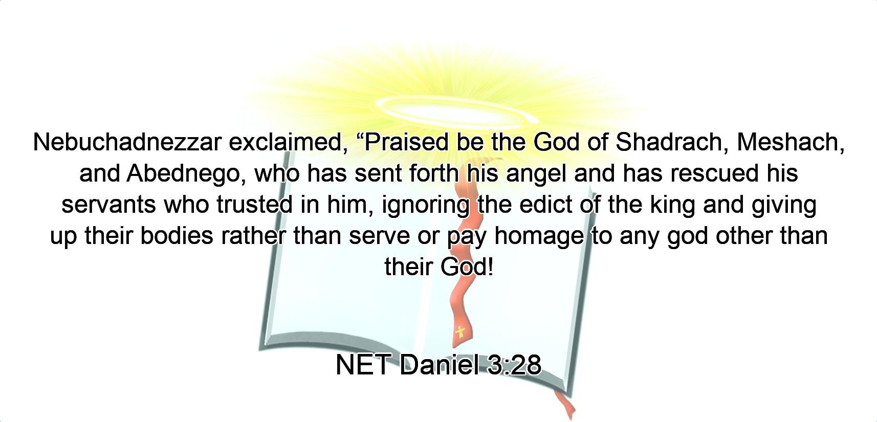 Shadrach Meshach And Abednego Bible Verse