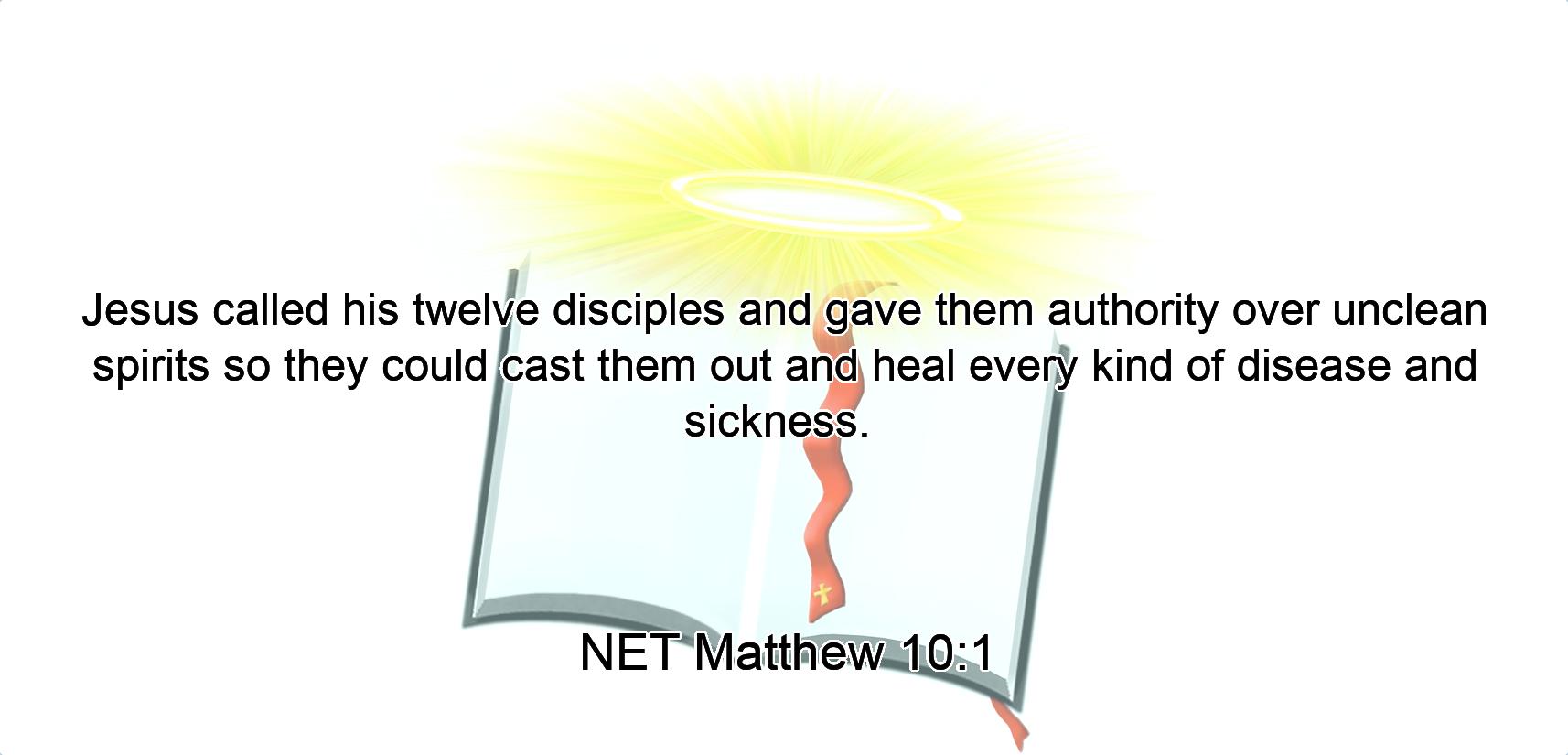 Cast Net Bible